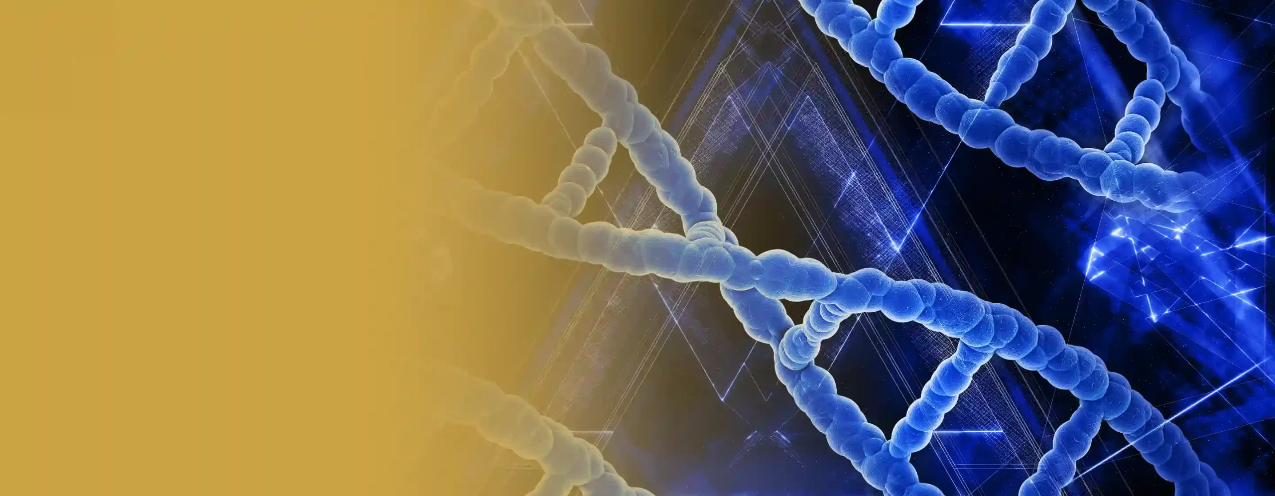 Amplicon Sequencing: Solution For Targeted Amplicon Sequencing