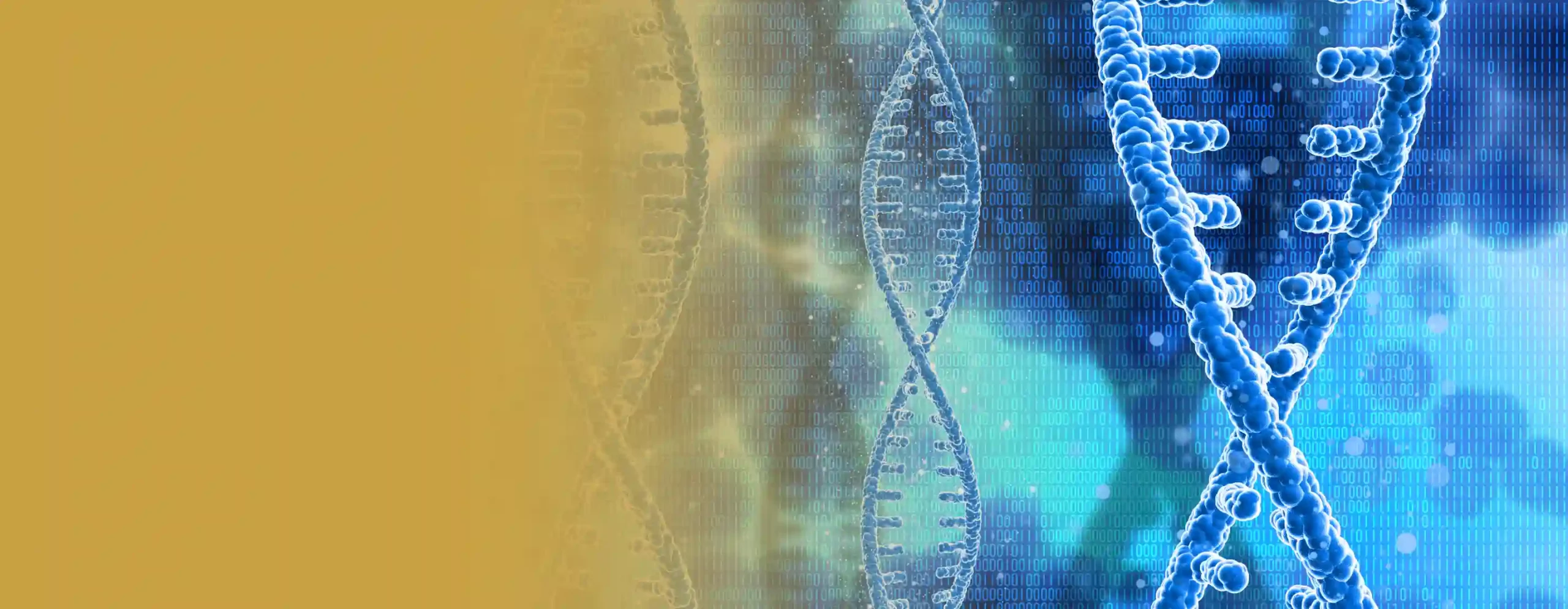 Amplicon Sequencing: Solution For Targeted Amplicon Sequencing