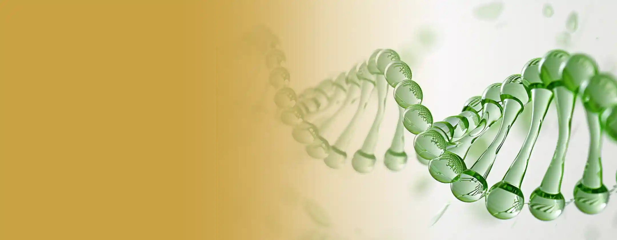 Pharmacogenomics: How Genes Impact Drugs | Paragon Genomics