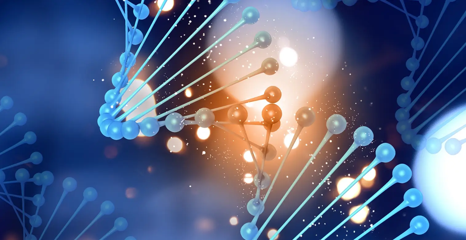 Sequencing Platform Compatibility | Paragon Genomics