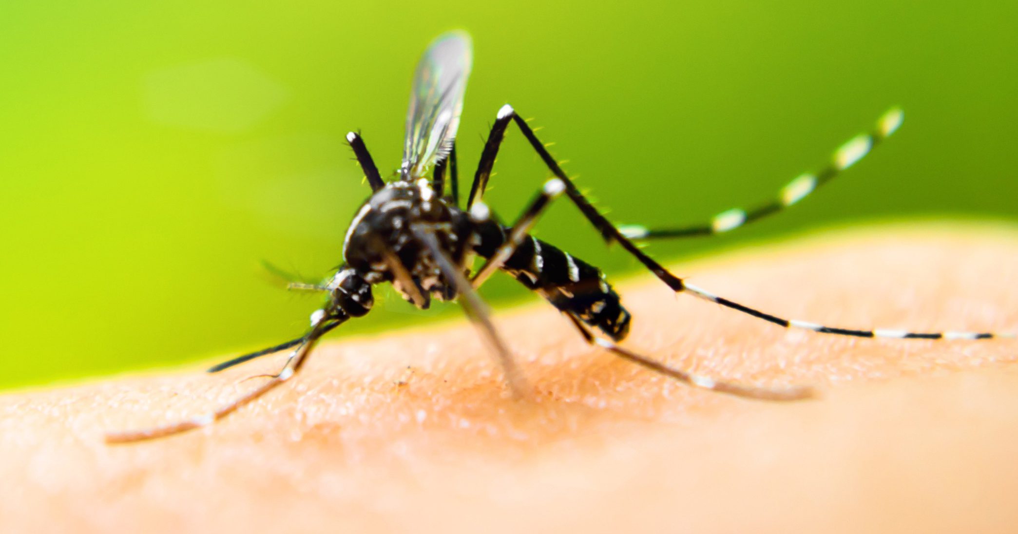 NGS for Infectious Diseases | Paragon Genomics NGS for Infectious Diseases | Paragon Genomics