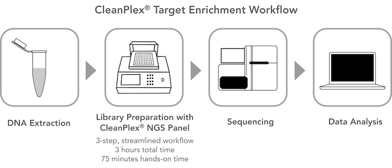 CleanPlex NGS Target Enrichment Amplicon Sequencing | Paragon Genomics