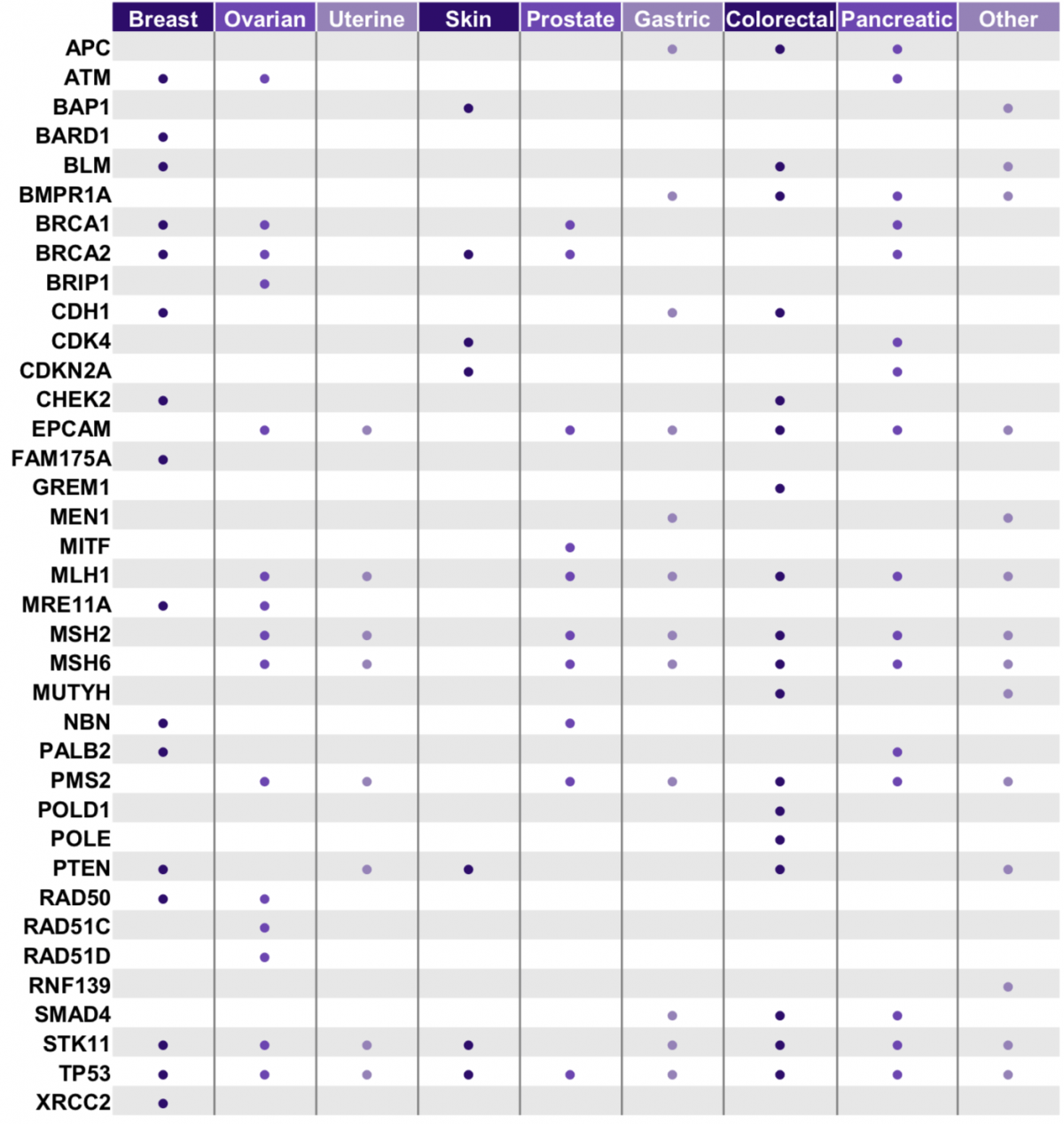 Hereditary Cancer Risk Assessment | Paragon Genomics