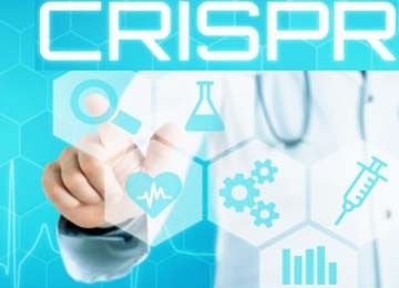 Target Enrichment Solutions for NGS | Paragon Genomics | rapid NGS ...