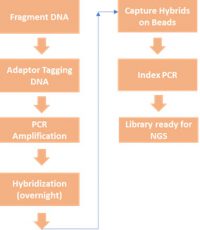 Amplicon Sequencing: Solution For Targeted Amplicon Sequencing