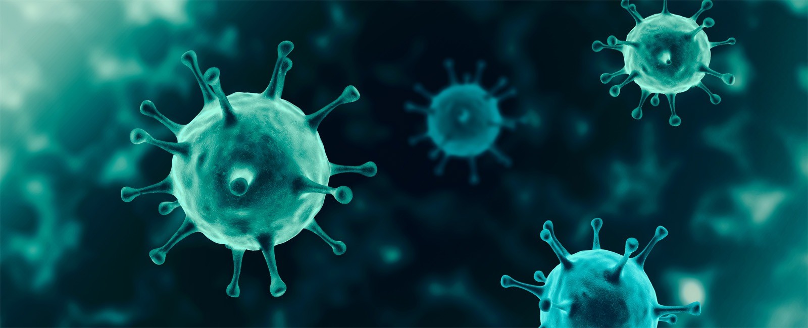 Technical Note - Accurate Detection and Whole Genome Characterization ...