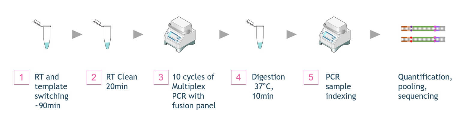 CleanPlex target enrichment for amplicon sequencing