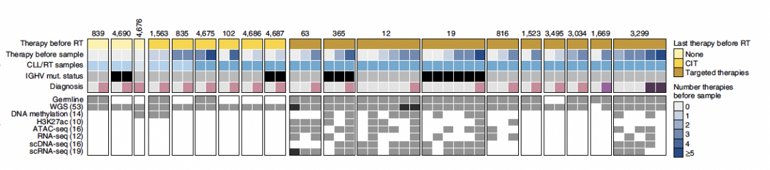 CleanPlex Publications | Paragon Genomics