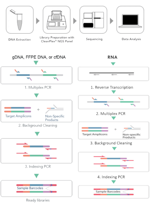 Img | Paragon Genomics