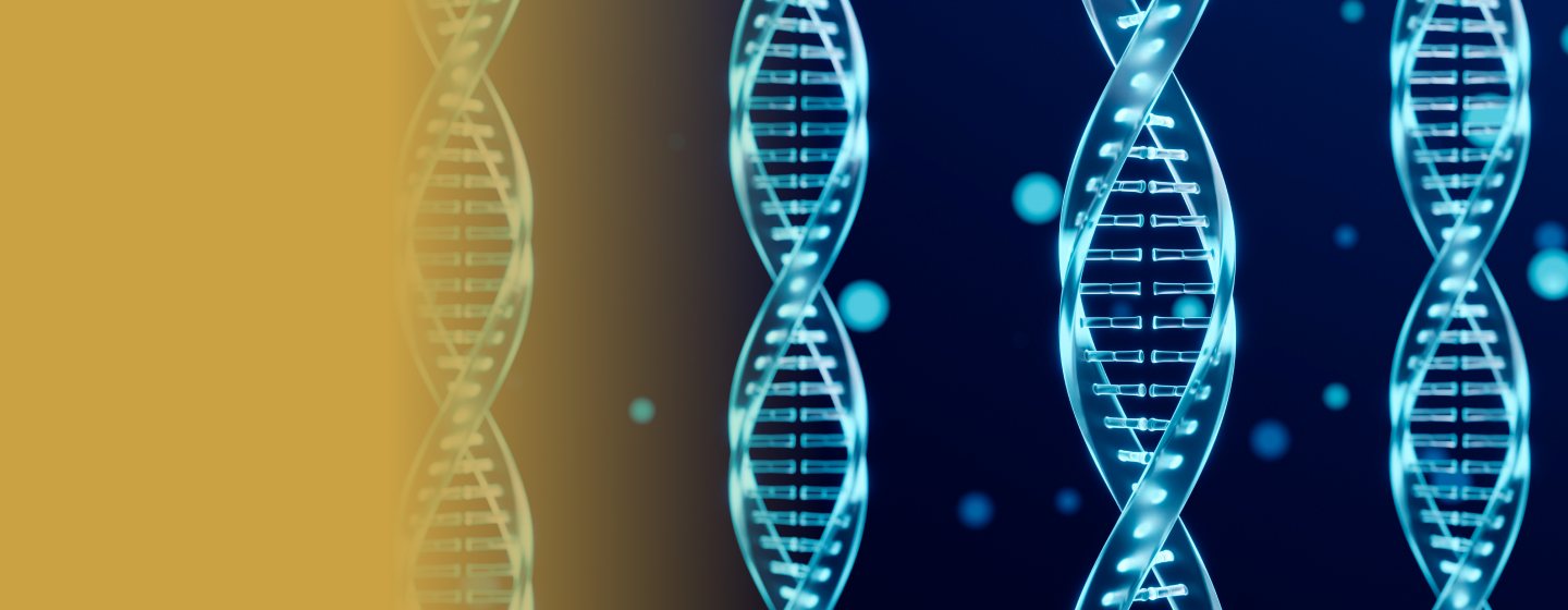 Amplicon Sequencing Process Explained | Paragon Genomics