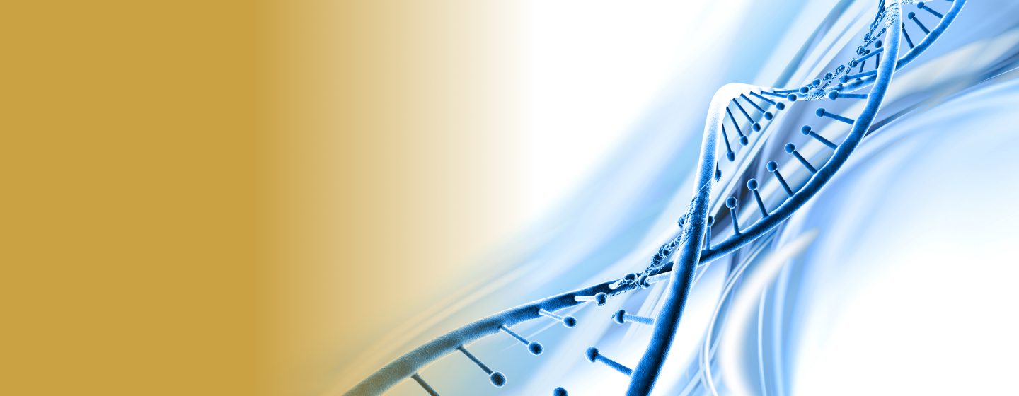 Understanding Amplicon Sequencing | Paragon Genomics